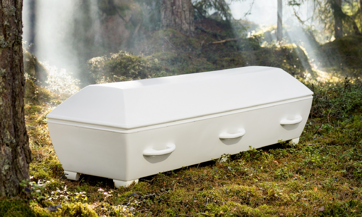 Biodegradable biocomposite - OrganoClick