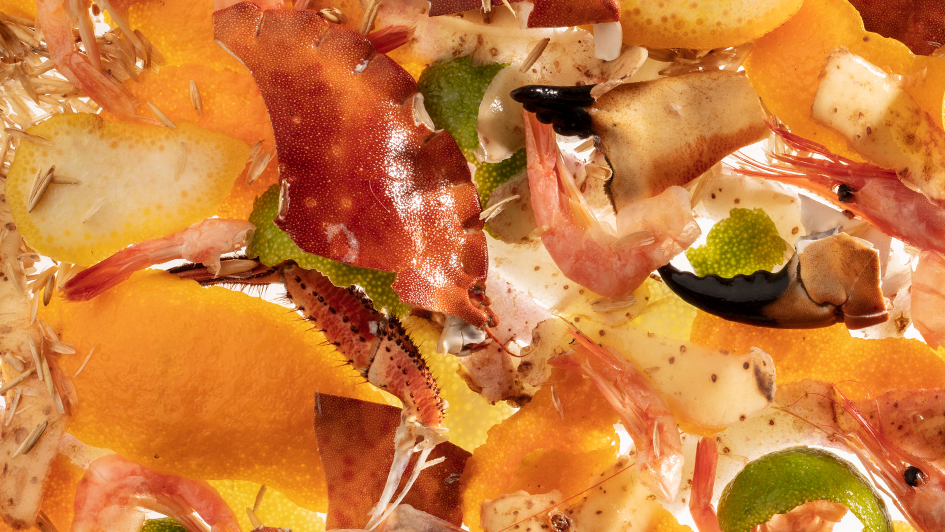 Green Technology inspired by nature - OrganoClick