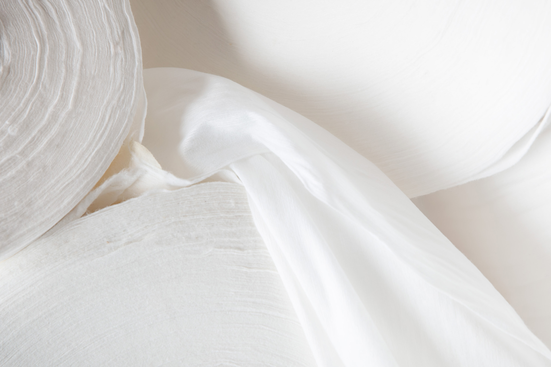 Biobased and biodegradable binders - OrganoClick