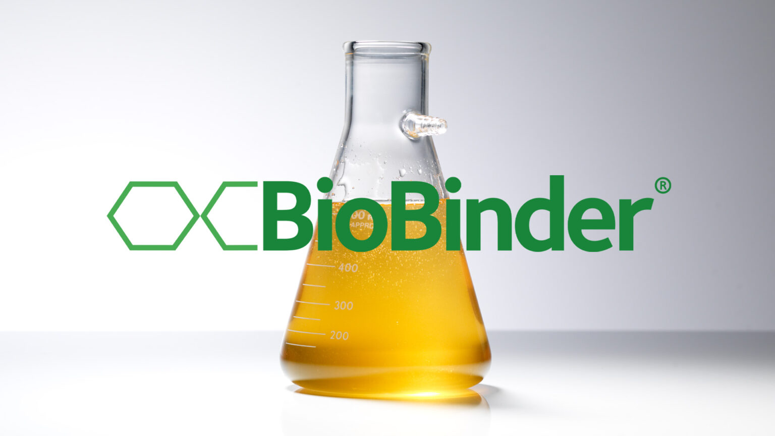 Biobased and biodegradable binders - OrganoClick